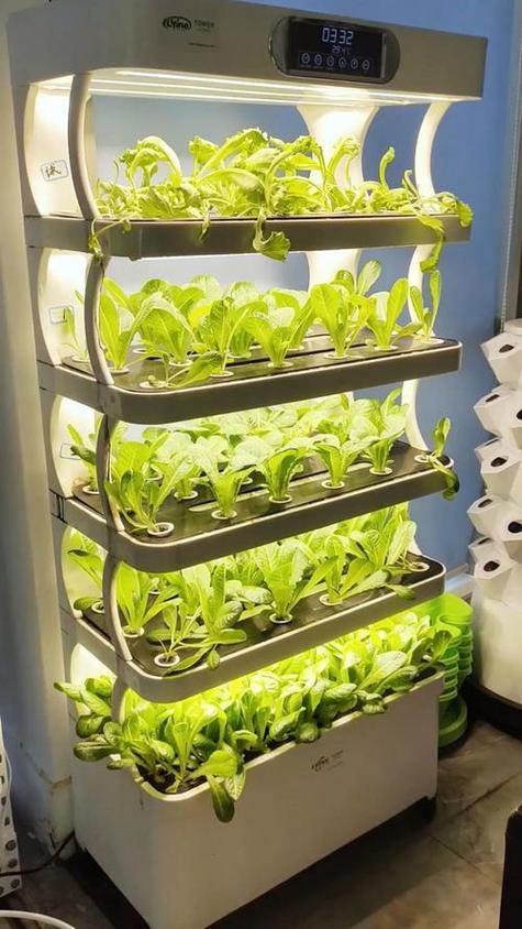 室内种植蔬菜方法大全图标