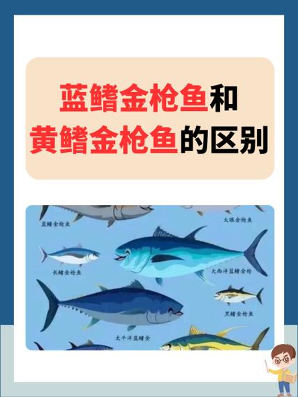 蓝鳍金枪鱼怎么区分图标