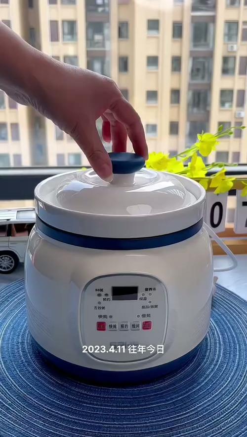 陶瓷电炖锅可以煮米饭吗截图