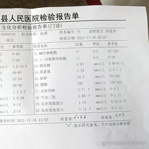 医院化验单图片截图