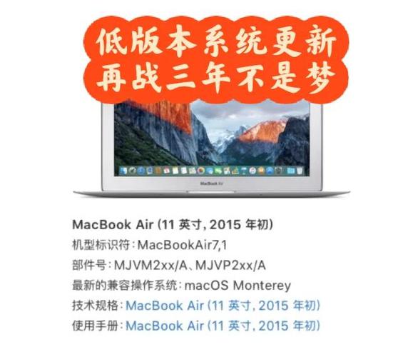 mac怎么更新到最新版本截图