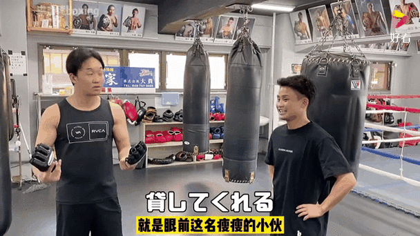 综合格斗和拳击实战哪个厉害图标