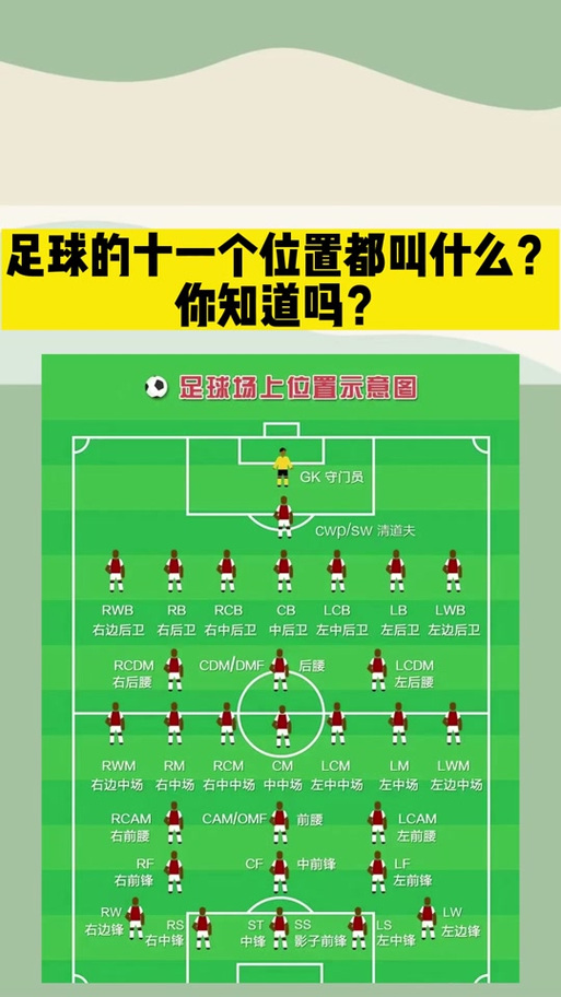 足球队员位置名称图标