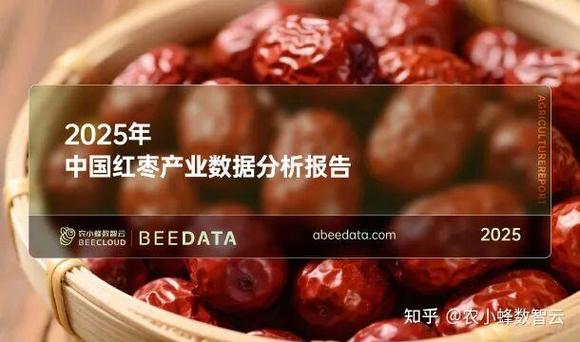 红枣公众号app官方下载图标