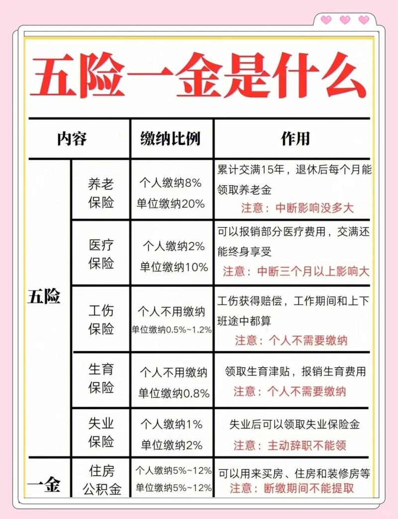 中关村保险福利是什么图标