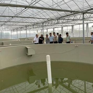 水库养鱼的成本与利润截图