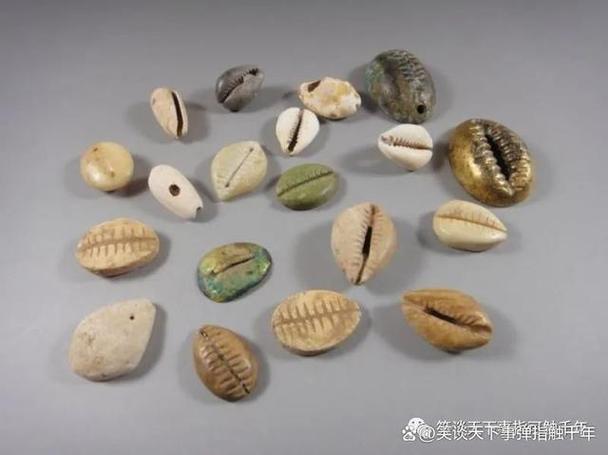 贝币真品值多少钱