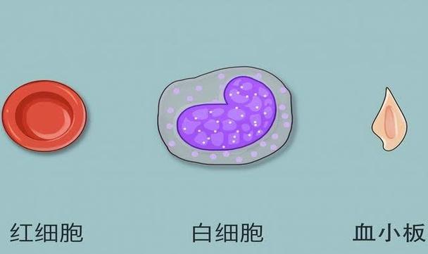 细胞是什么意思图标