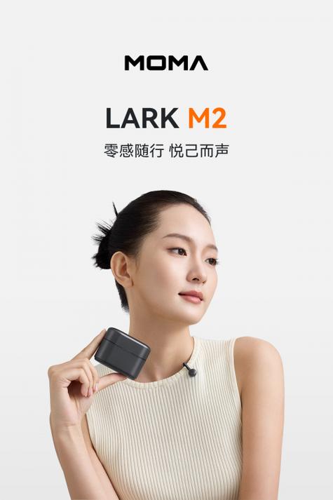 手机打开录音,能不能不显示在录音图标