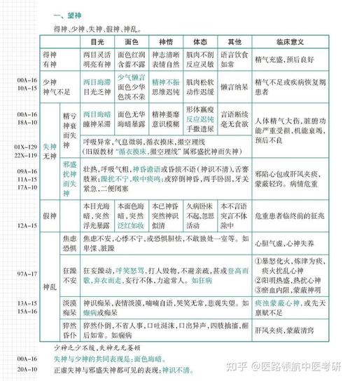 望神包括哪四种图标