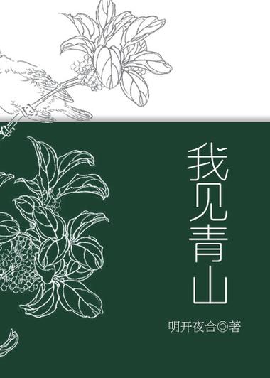 我见青山小说笔趣阁图标