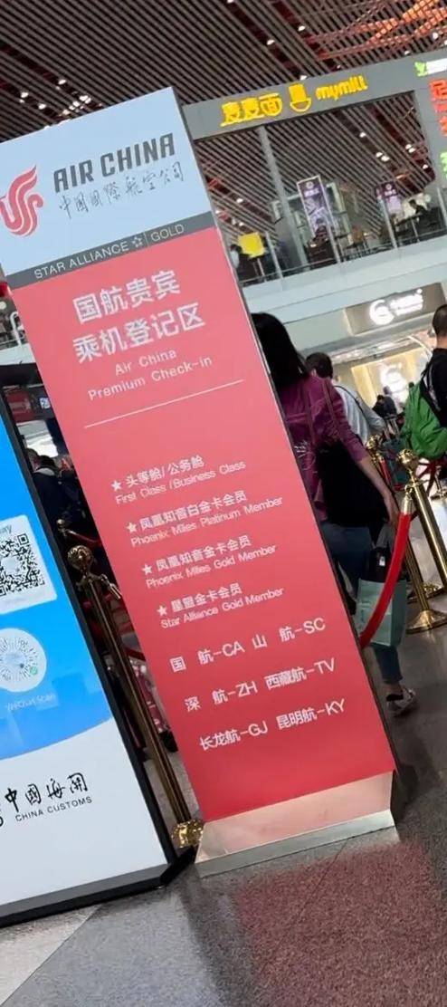 飞机值机官网截图