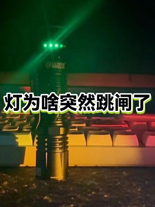照明灯亮十多分钟后跳闸截图