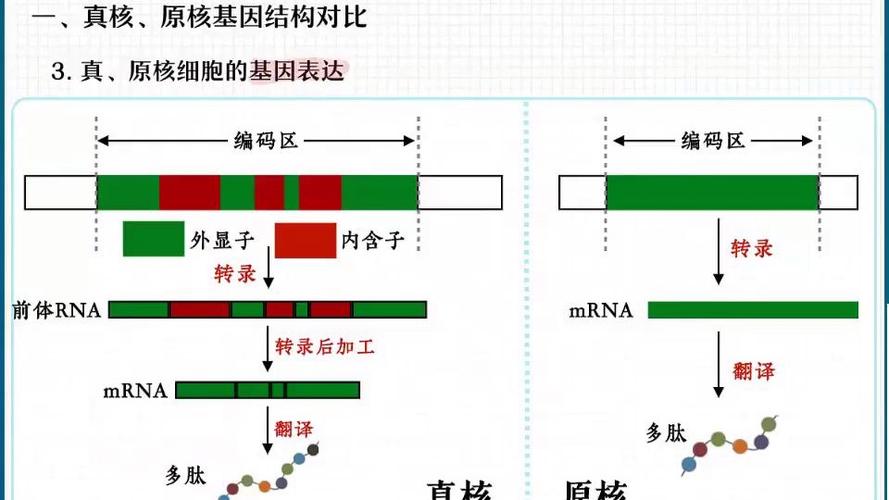 生物基因工程图标