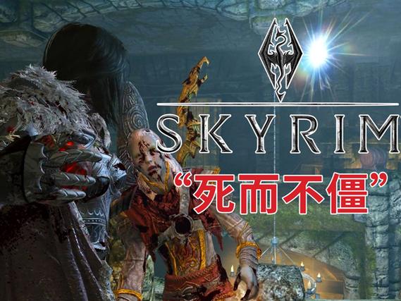 老滚5播放动画黑屏图标