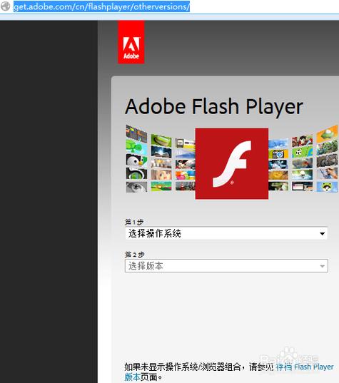 adobe flash 序列号图标