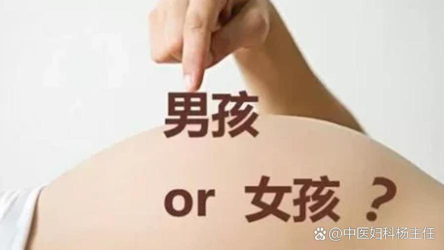 仔指的是男孩还是女孩图标