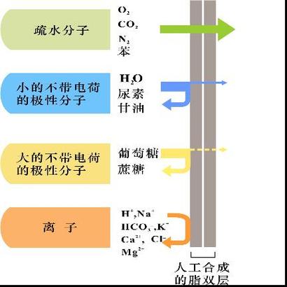 手机上自带的膜好还是钢化膜好图标