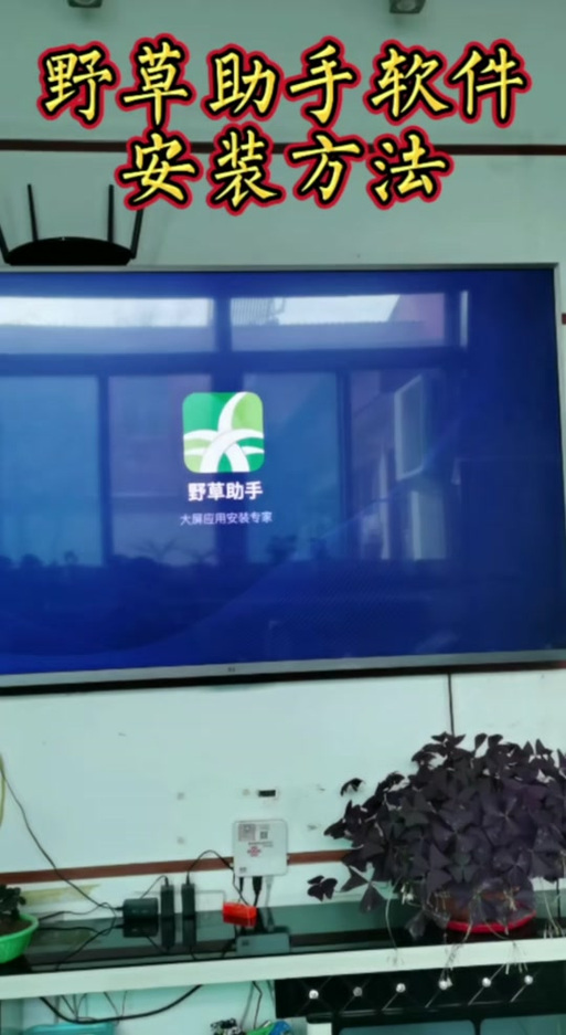 小米电视安装野草助手教程图标