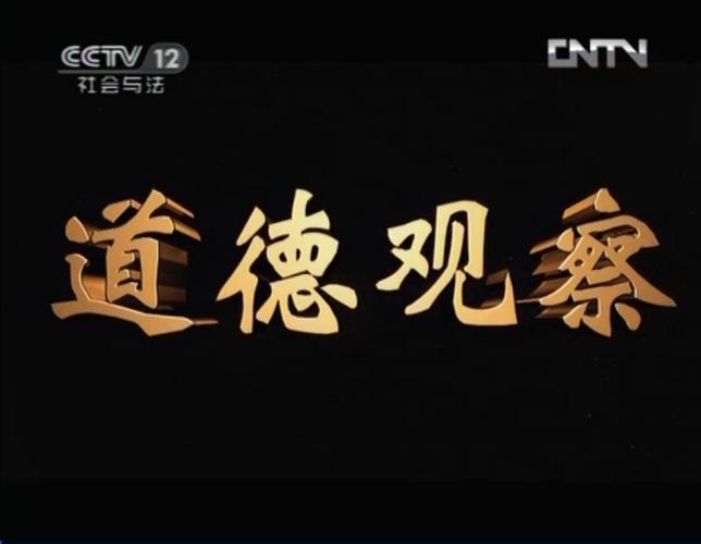 道德观察2013