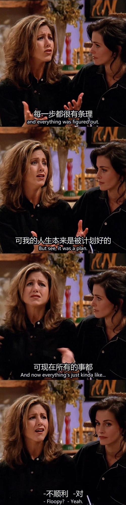 老友记字幕srt百度云图标