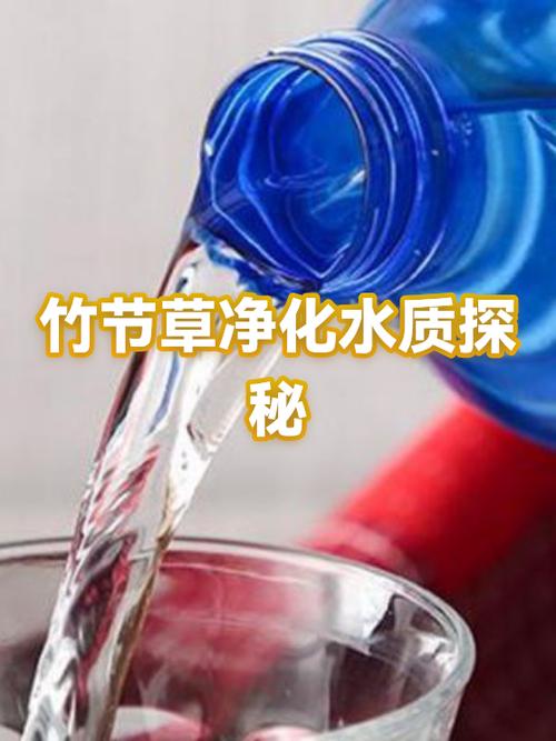 竹节草图片图标