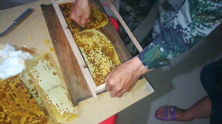 中蜂过箱技术视频全集截图