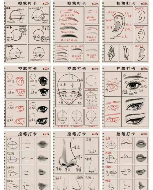 怎么学画画