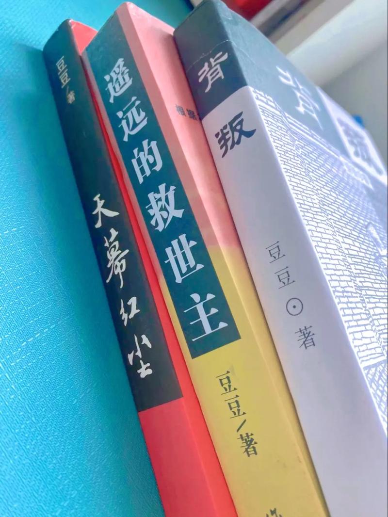 金晶豆豆小说阅读图标