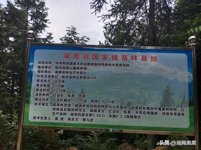 西瑶名字的寓意和象征截图