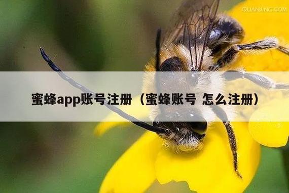 蜜蜂app怎么注册账号图标