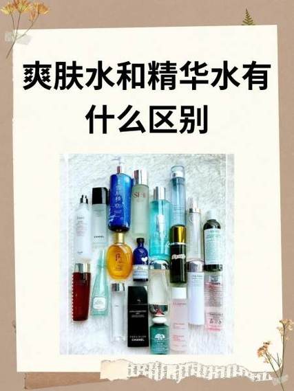 爽肤水和嫩肤水的区别