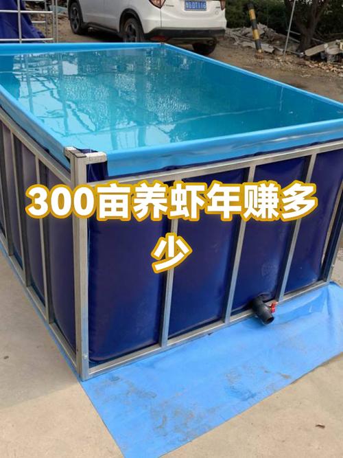 现在养虾还可以赚钱吗图标
