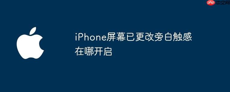 苹果手机屏幕出现旁白怎么办