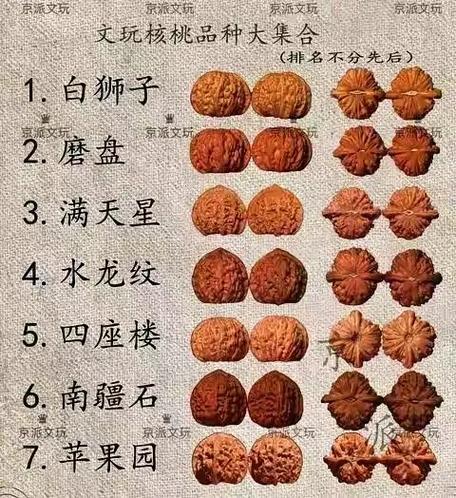 文玩核桃新品种图标