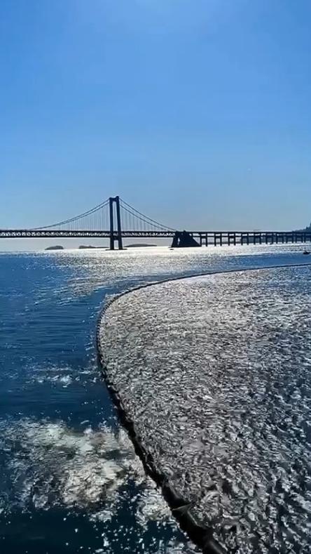 适合做视频背景音乐的纯音乐图标