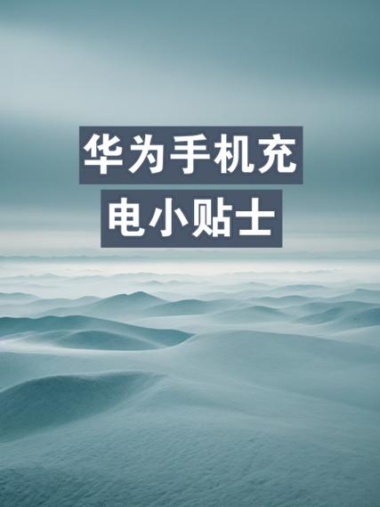 华为手机充满电图标截图
