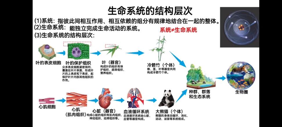 变异生物系统