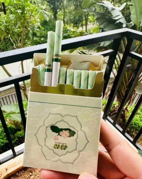 中支荷花图片图标