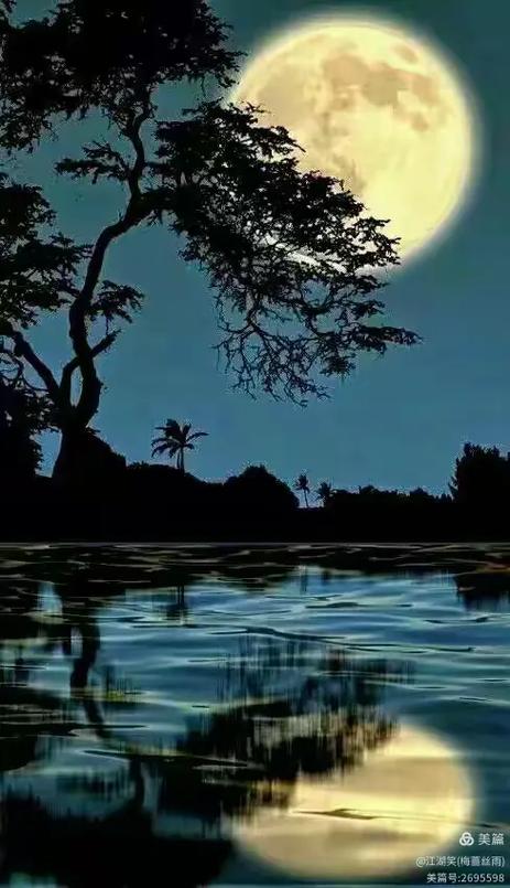 夜月的诗词图标