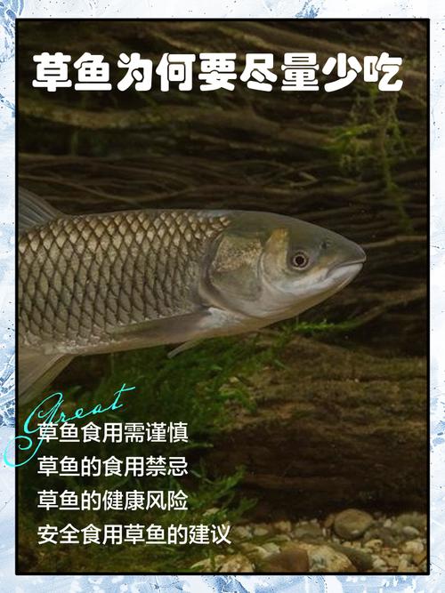 卖草鱼发朋友圈的句子