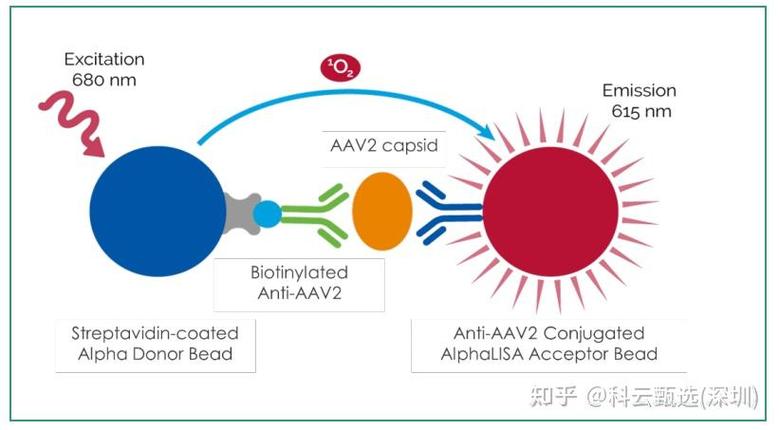 alphalisa试剂盒图标