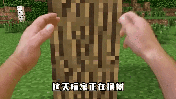 我的世界手机版一进去一片黑图标