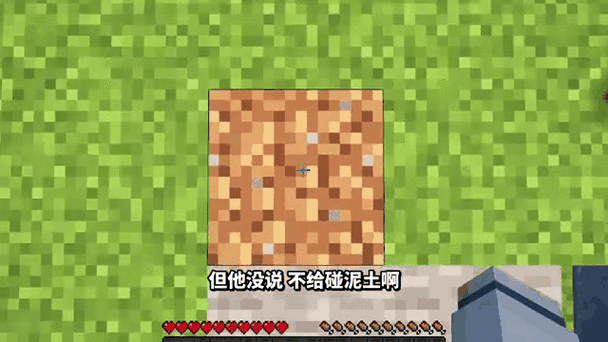 禁止踩草方块生存奶油图标
