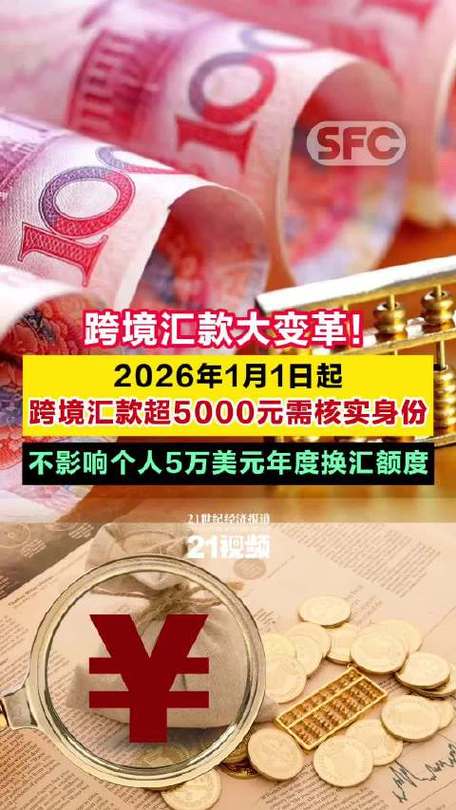 外汇国内转账规定截图