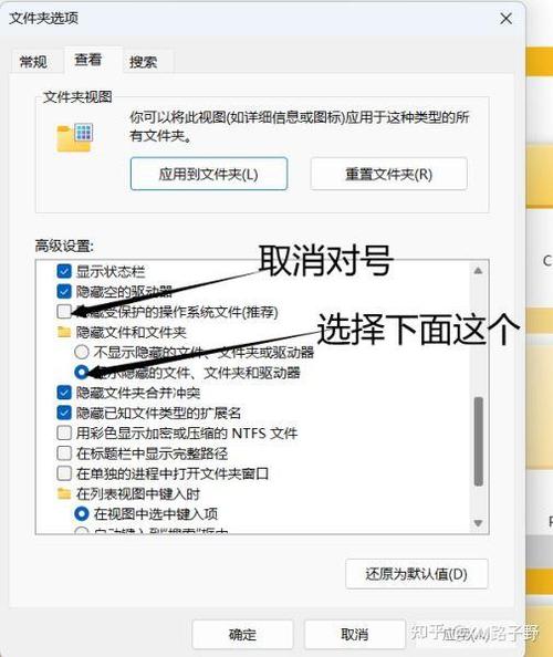 ps一导出就闪退截图