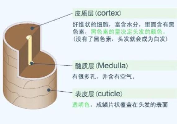 捡到头发是福还是祸图标