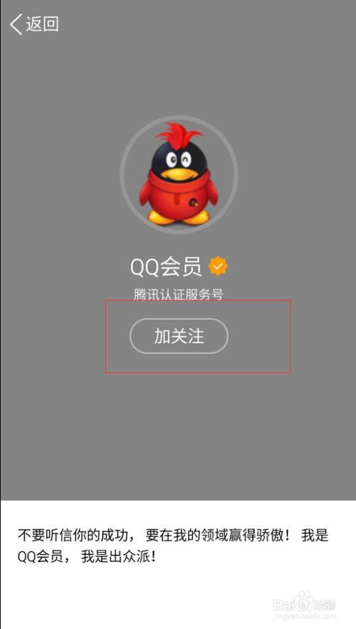qq会员公众号在哪里
