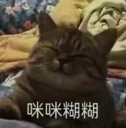 迷糊表情包截图