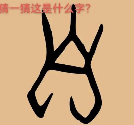 象形字典官网登录入口图标